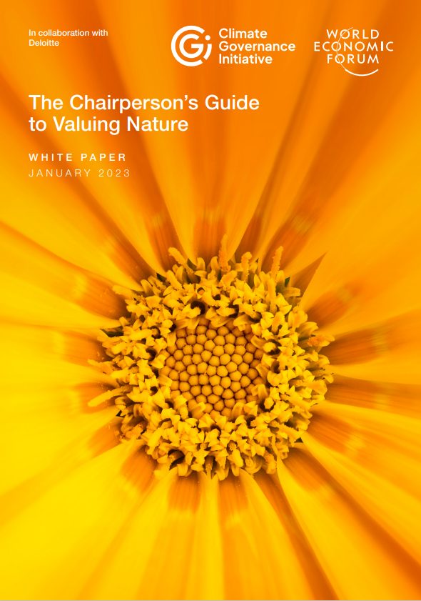 The Chairperson’s Perspective: Shaping the board’s strategic direction ...