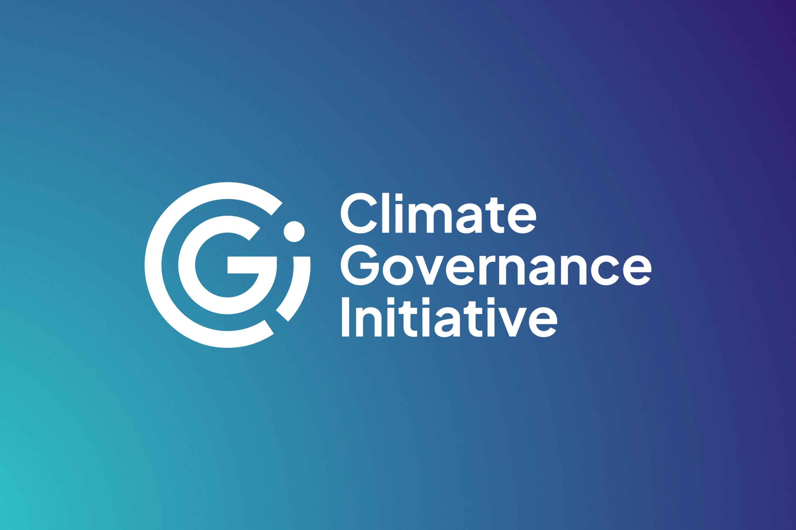 Climate Governance Initiative appoints new Chair of the Governing Board ...